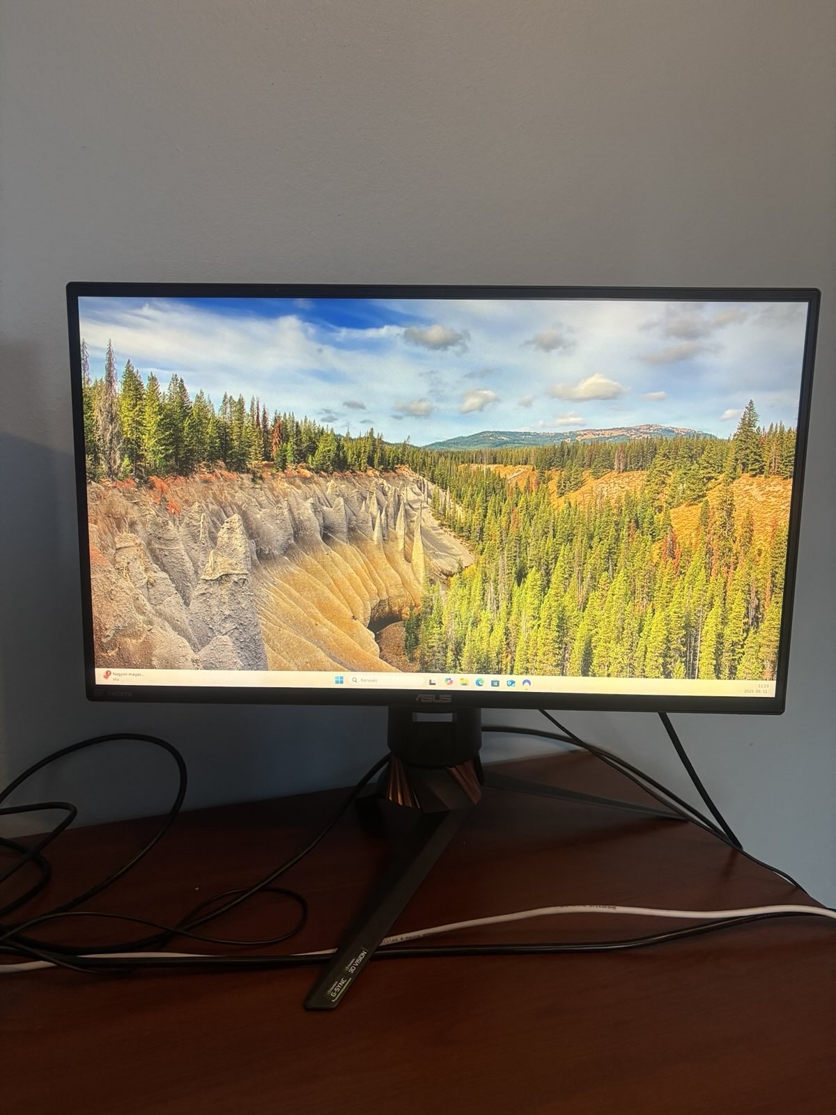 ASUS ROG Swift PG258Q 24,5" 240Hz 1ms G-SYNC Gamer Monitor - HardverApró