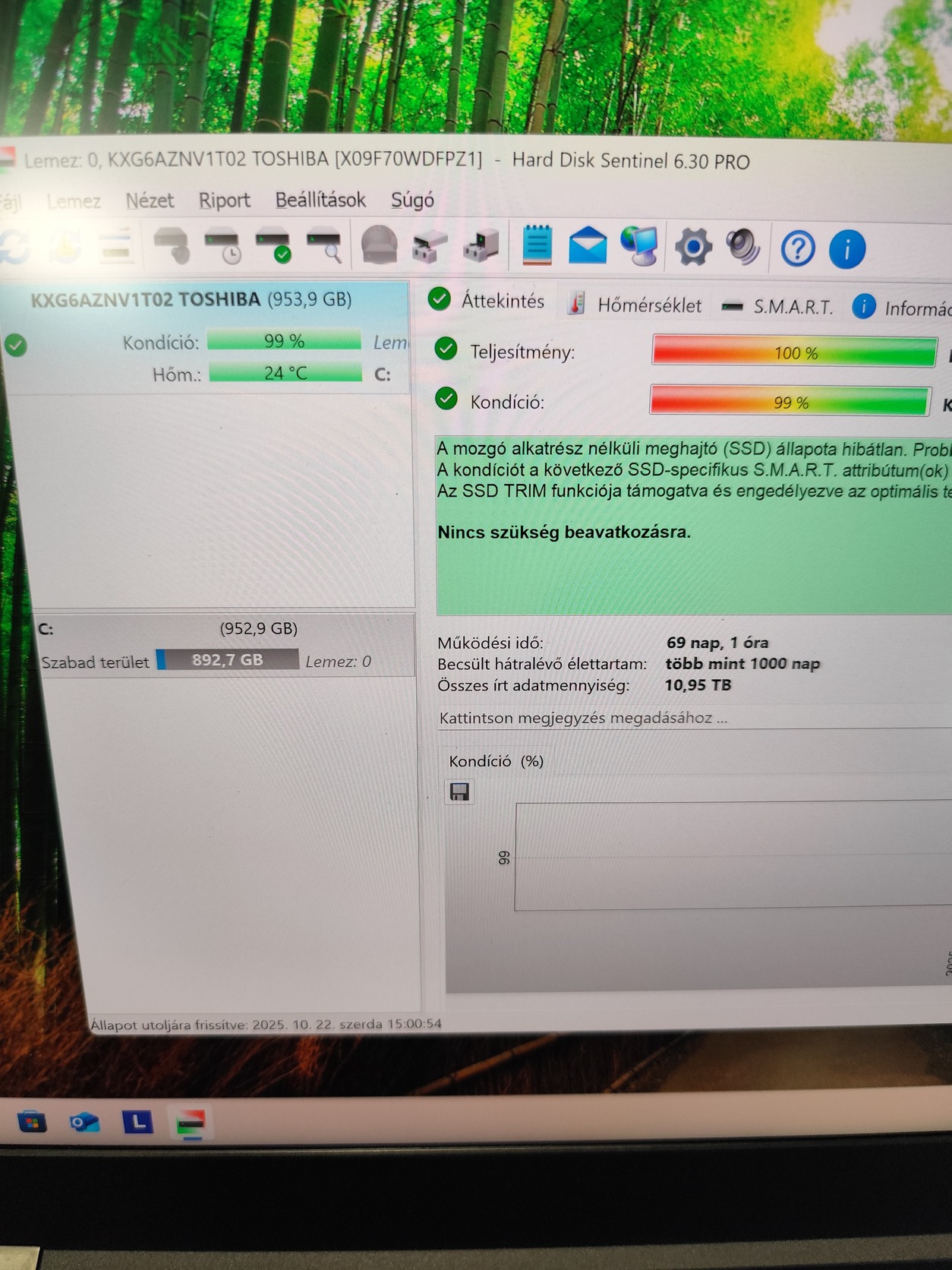 Lenovo Thinkpad P17: Intel i7-10850H, 32GB RAM, 1000GB SSD, 17" 4K UHD ...