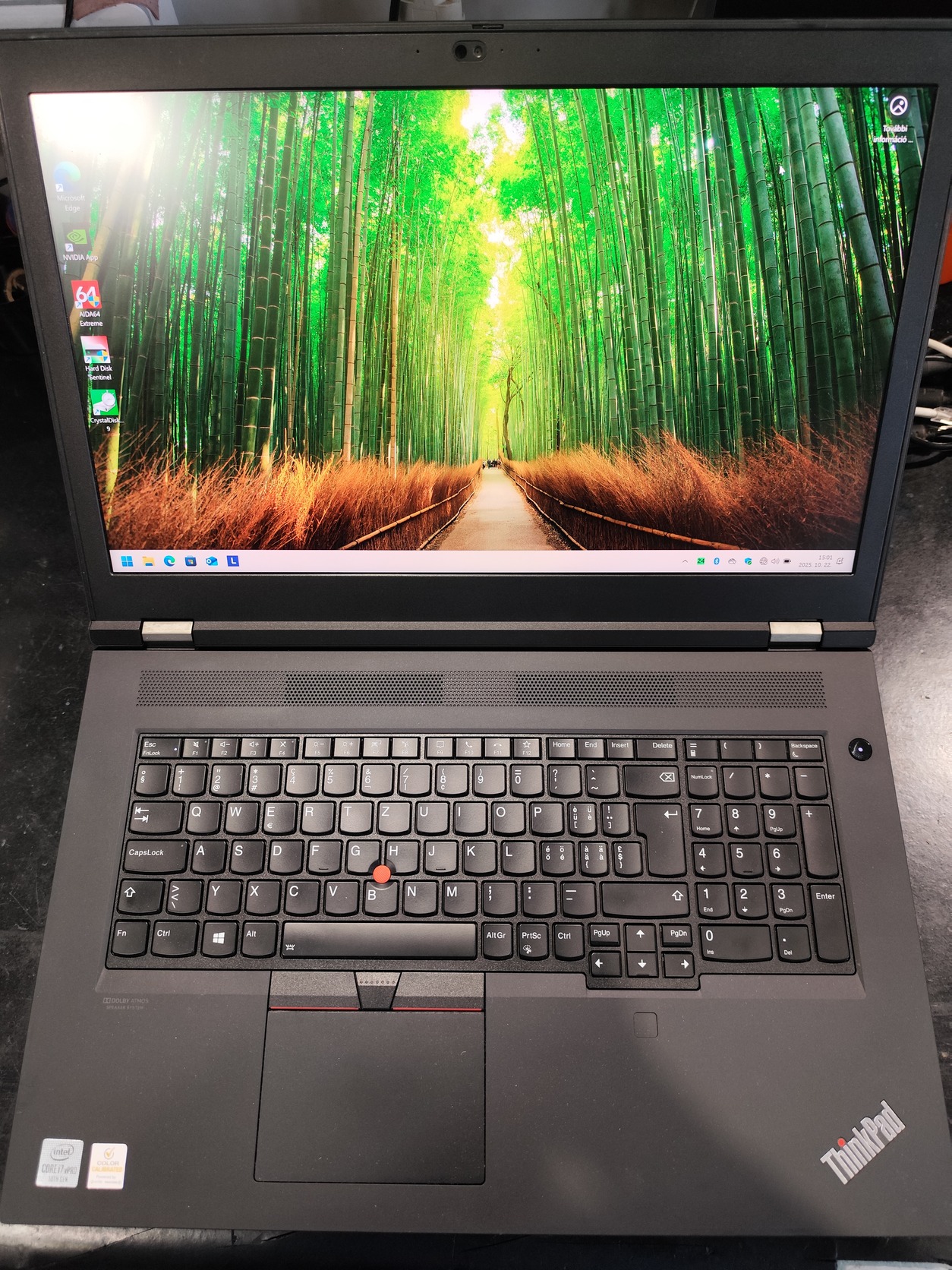 Lenovo Thinkpad P17: Intel i7-10850H, 32GB RAM, 1000GB SSD, 17" 4K UHD ...