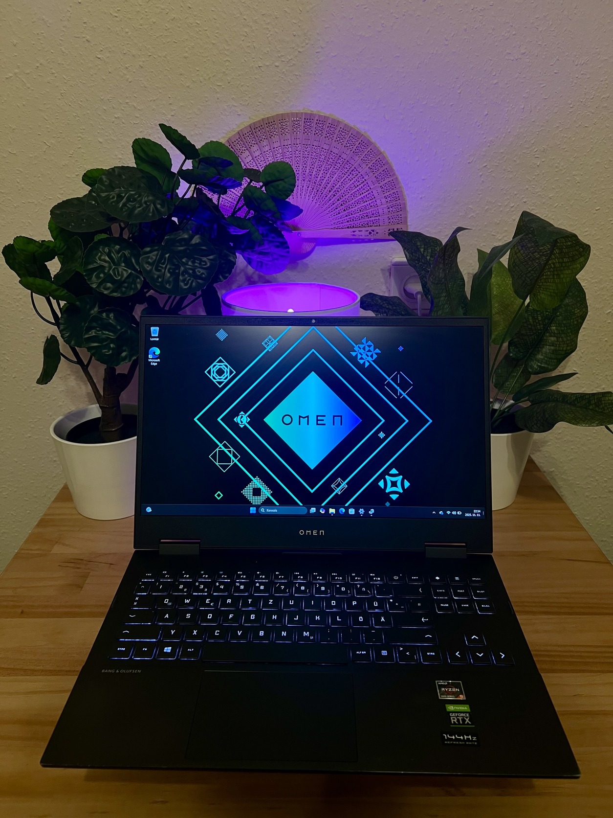 HP OMEN Gamer Laptop Ryzen 5 5600H RTX 3060 6GB 32GB RAM 512GB / 1,5TB ...