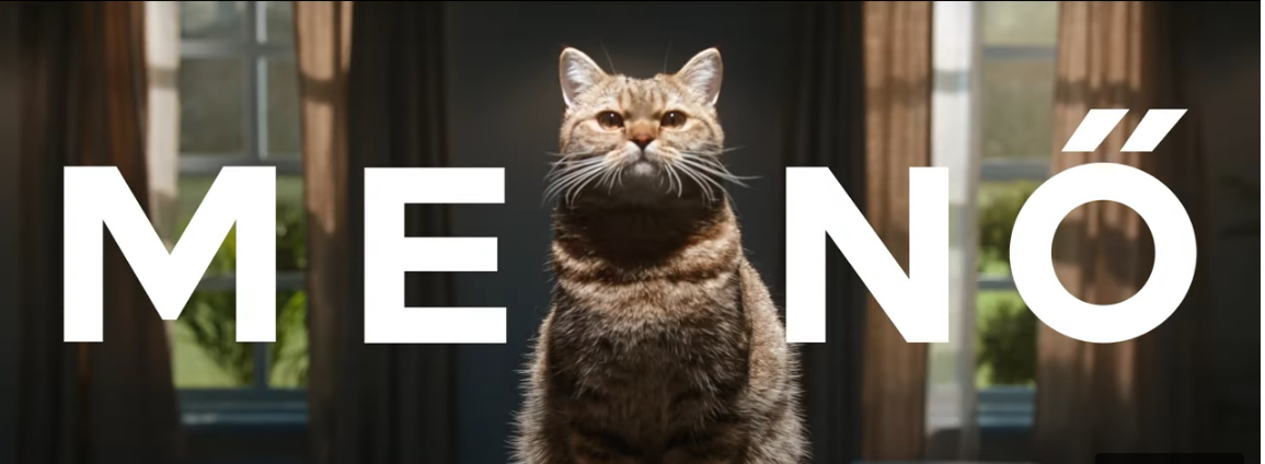 Macska topik - LOGOUT Hozzászólások